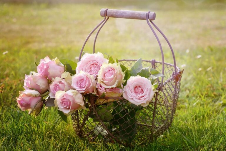 Pink Roses Meaning: Gentle, Soft-Spoken Poets of the Flower World ...