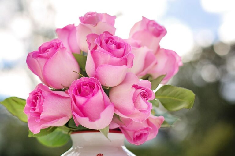 Pink Roses Meaning: Gentle, Soft-Spoken Poets of the Flower World ...